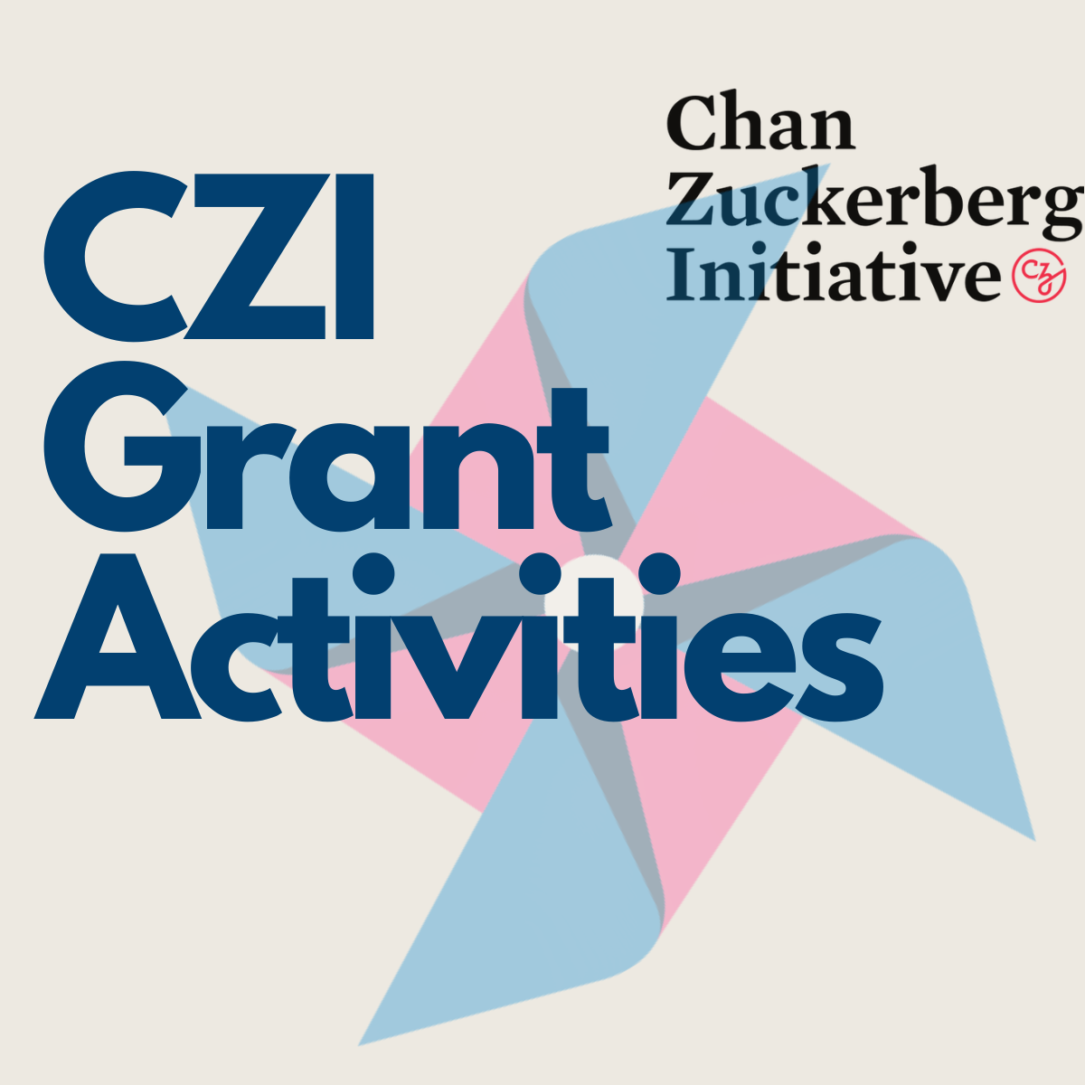 CZI grant activities - chILD Foundation